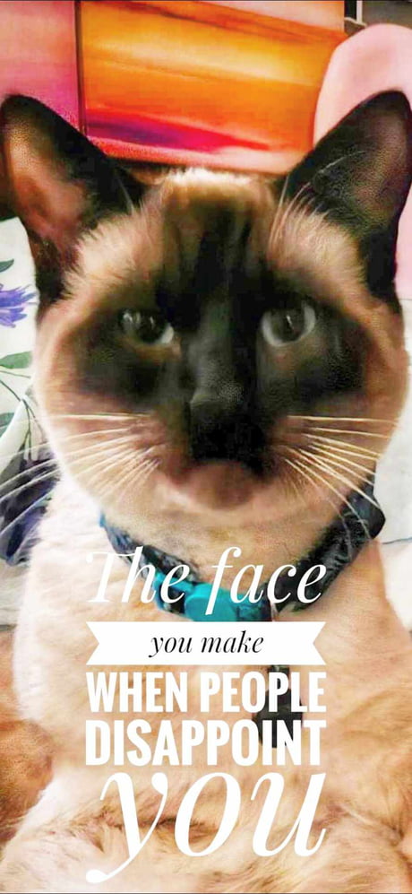 Best Funny disappointment Memes - 9GAG