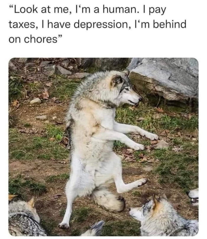Look at me i am hooman - 9GAG