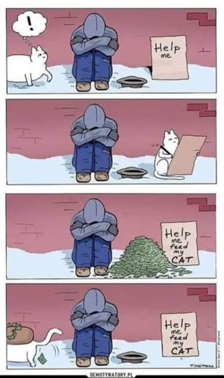 Cats are evil - 9GAG