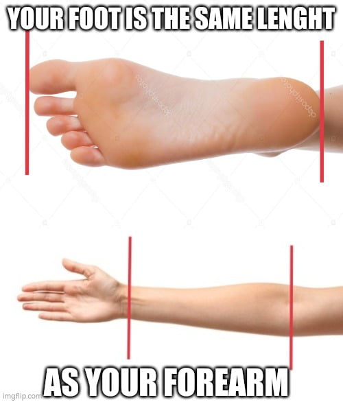 Useless knowledge of the day - 9GAG