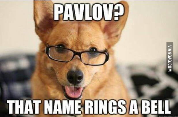 Conditioned reflex - 9GAG