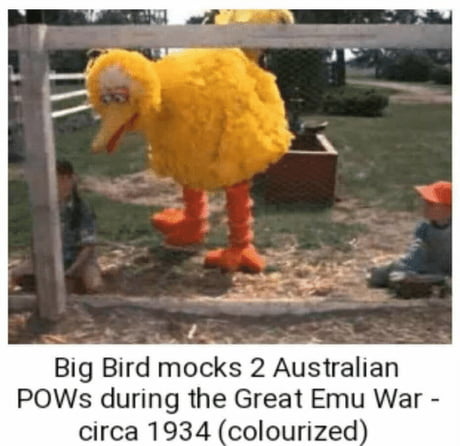 Colorized History Meme