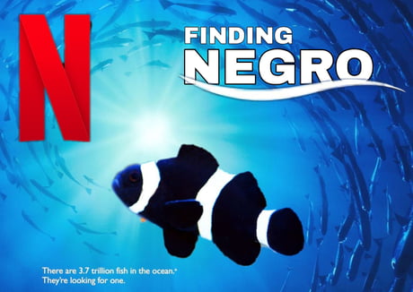 Black Finding Nemo Memes The Best Finding Nemo Memes :) Memedroid