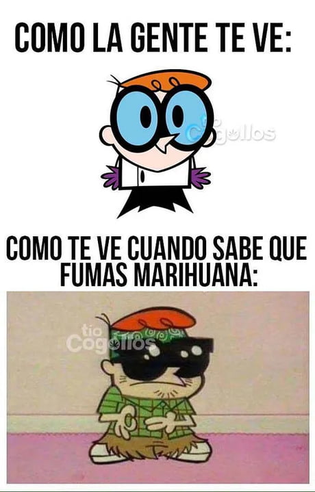 Cual Mota Memes Los Kuatro20 De California Y Es Neta 😝😂