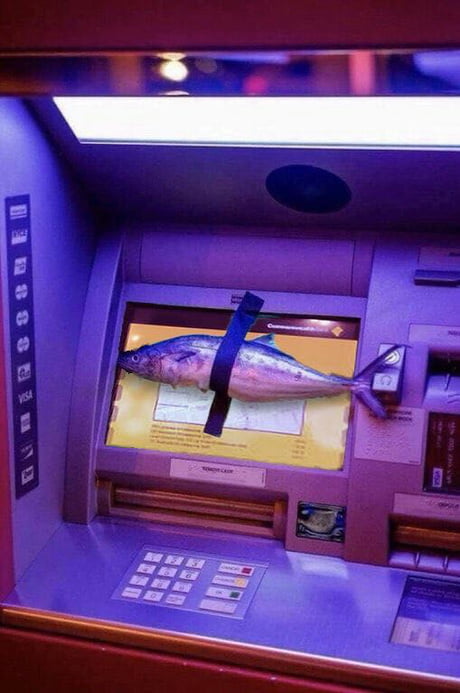 Like Who the hell would tape a f**king fish to the ATM | Worth to watch