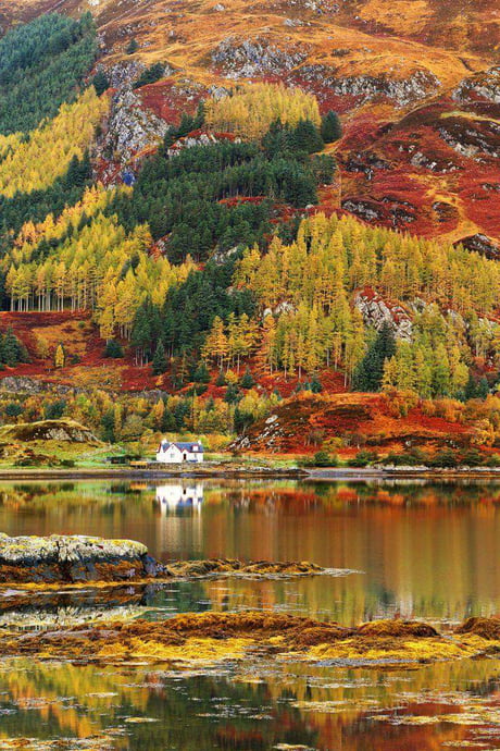 Autumn in the scottish highlands | Worth to watch