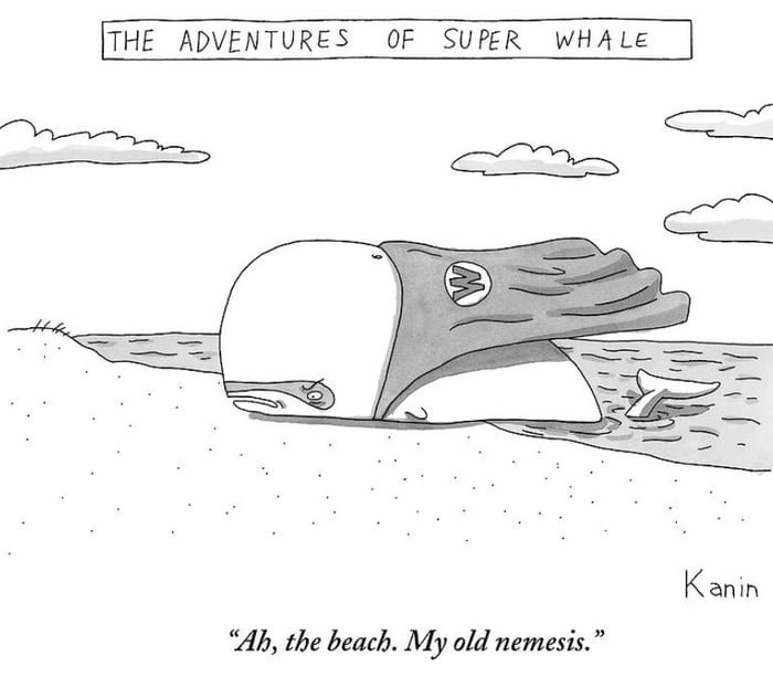 Like every morning when Super Whale set out to save the world... - 9GAG