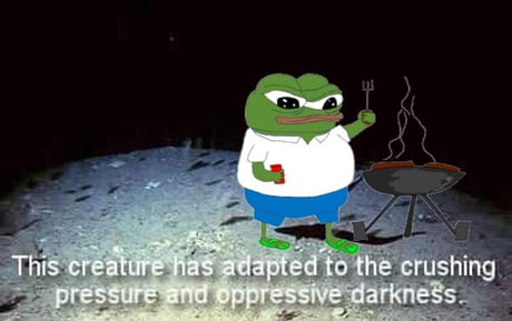 Blague Pepe Memes Best Funny Pepe Memes 9GAG