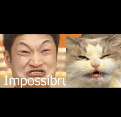 Best Funny derp Memes - 9GAG