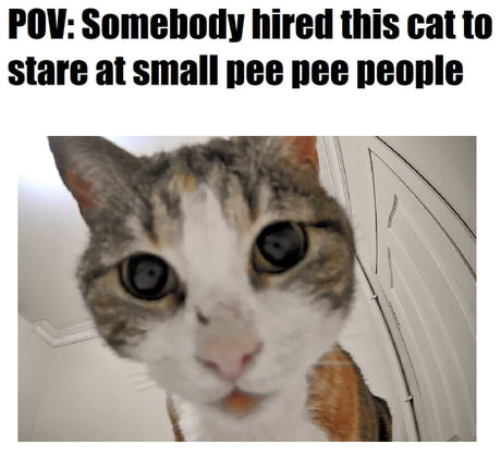 Small Weiner Memes There Must Be A Divine Reason Behind Small Weiner