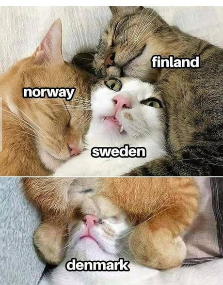 Best Funny geography Memes - 9GAG