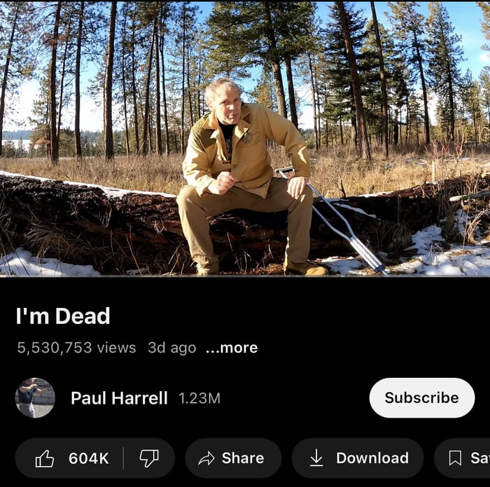 Farewell Paul, you were « what we call a professional ». - 9GAG