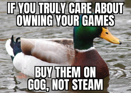 Best Funny gog Memes - 9GAG