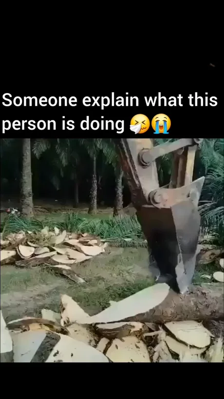 Creepy Lumberjack Memes