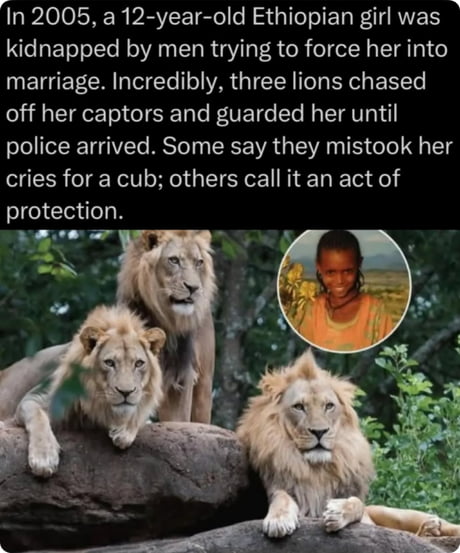 Best Funny ethiopia Memes - 9GAG