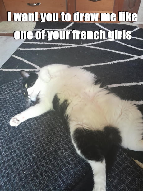 Best Funny draw Memes - 9GAG