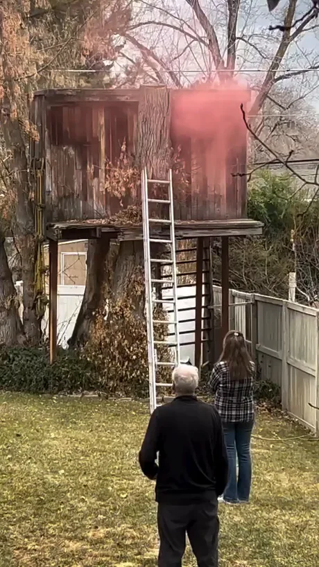 Funny Treehouse Memes