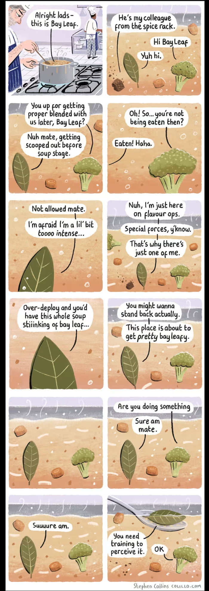 Bay leaf - 9GAG