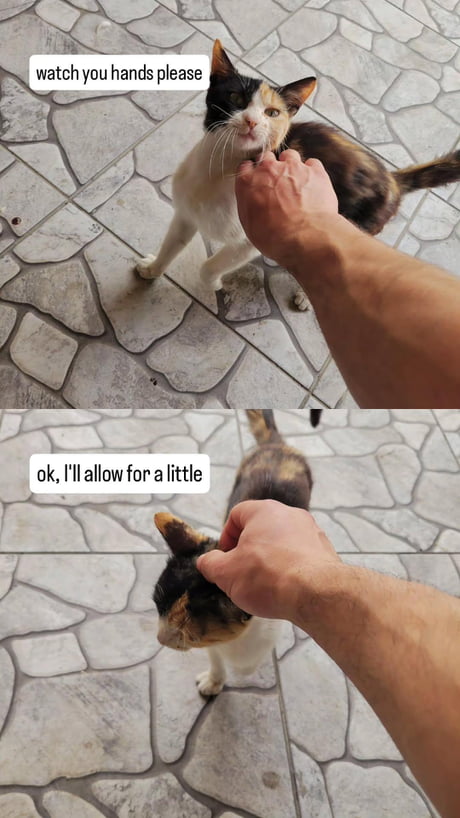 Best Funny hands Memes - 9GAG