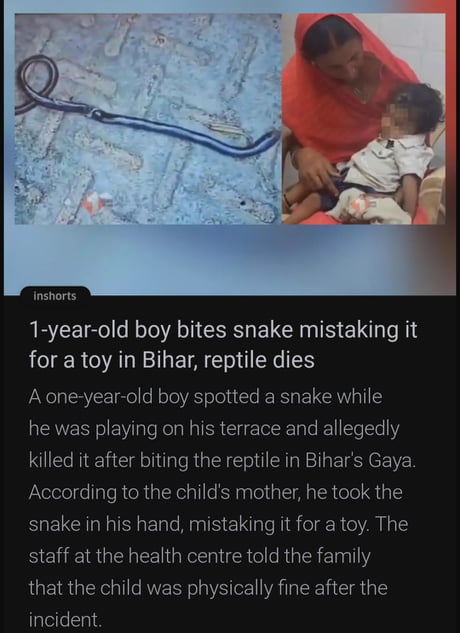 Best Funny snake Memes - 9GAG