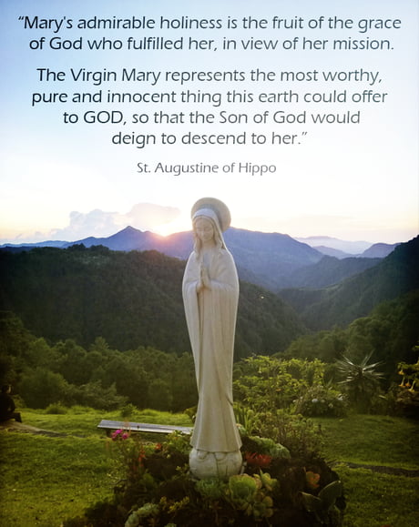 Best Funny mary Memes - 9GAG