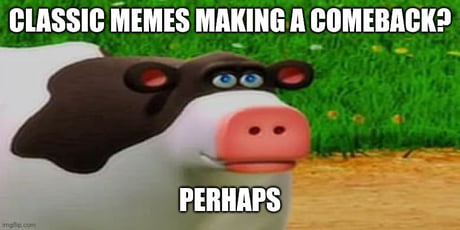 Best Funny perhaps Memes - 9GAG