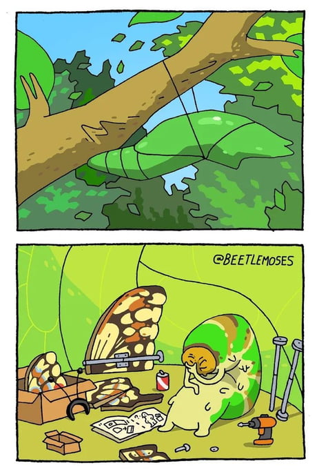 Best Funny caterpillar Memes - 9GAG