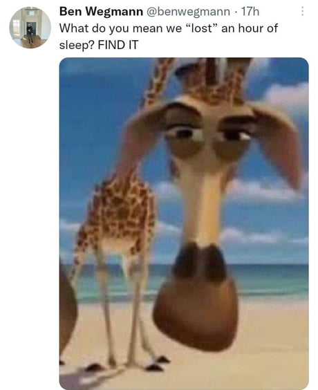 Madagascar Melman Sleep