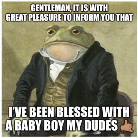 Huskies make the best faces - 9GAG