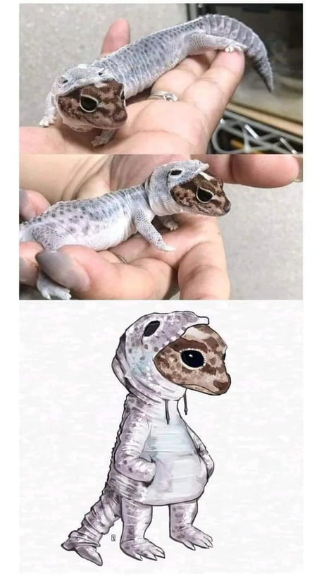 First rule of programming; if it is work, don't touch it - 9GAG