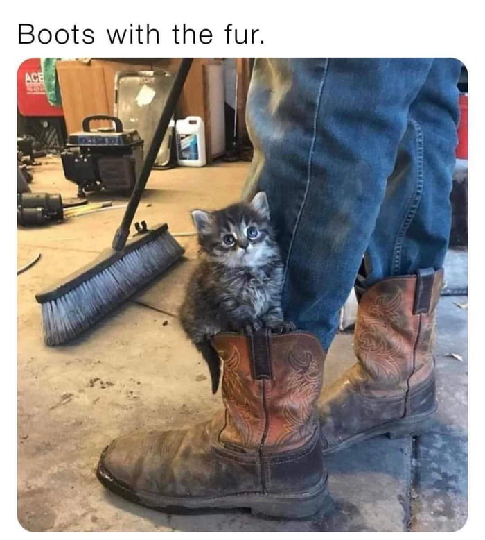 These boots are made for walking - 9GAG