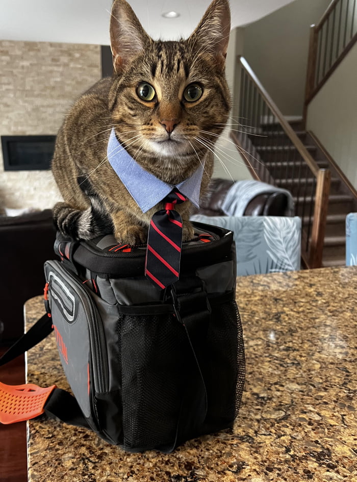 Ready for work! - 9GAG