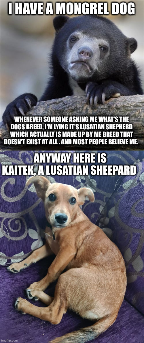 He very cute but shy - 9GAG