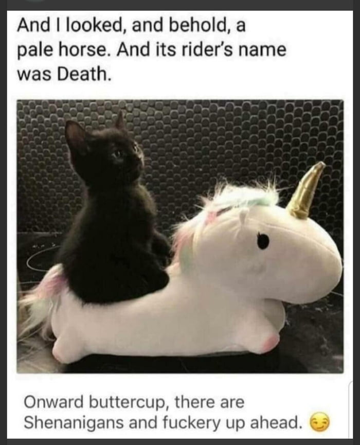 Very cute post - 9GAG