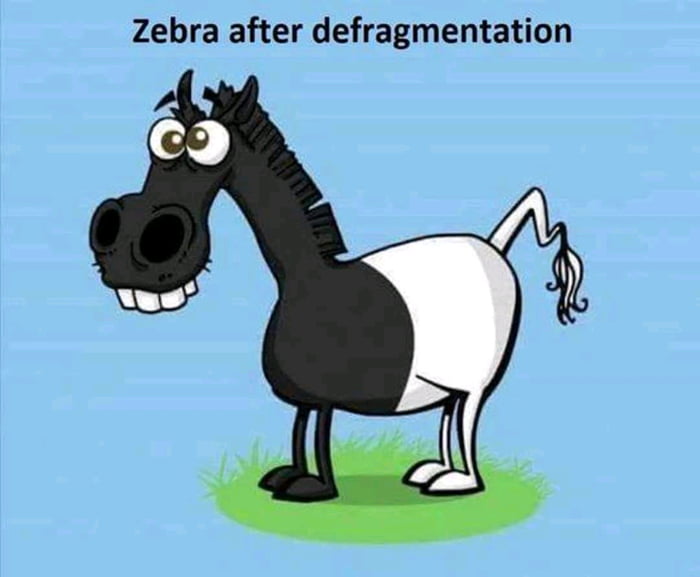 Zebra after defragmentation - 9GAG