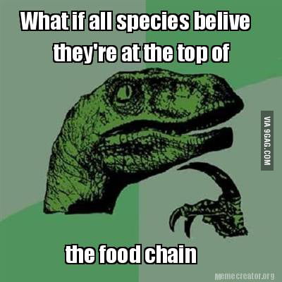 Food Web Memes Food Chain Memes & GIFs Imgflip