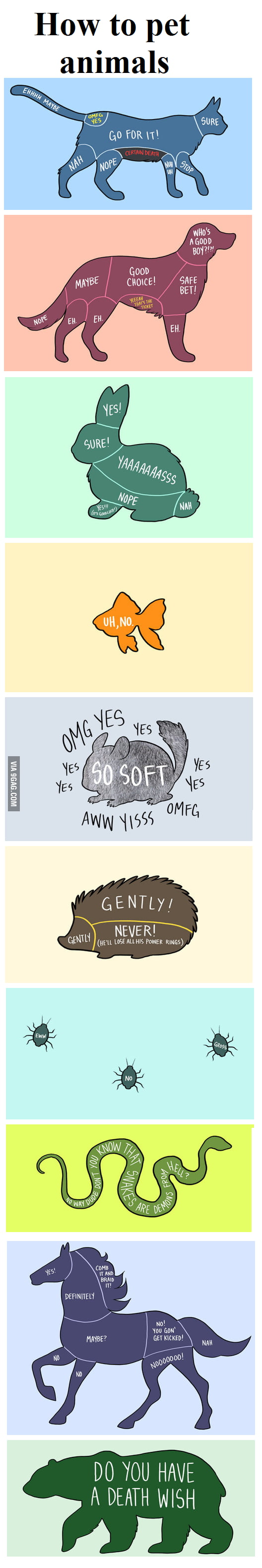 Helpful guide - how to pet animals - 9GAG