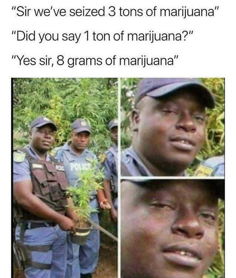 Officer How High Are You Meme He's Got The Point Lol Imgflip