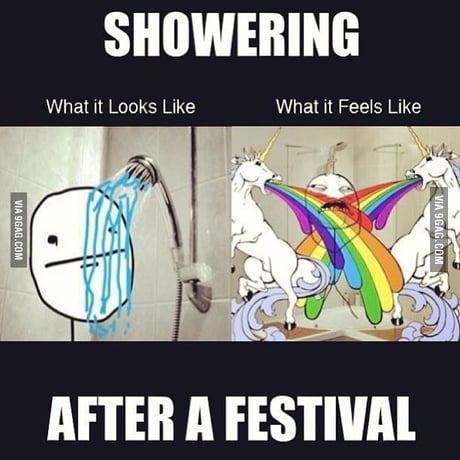 Festival Shower Memes