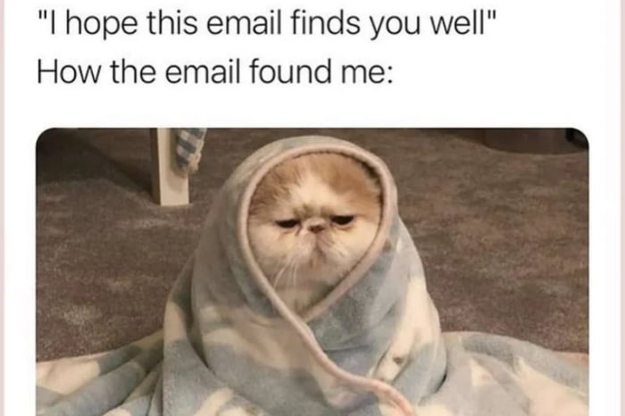 Cat Email?? - 9GAG