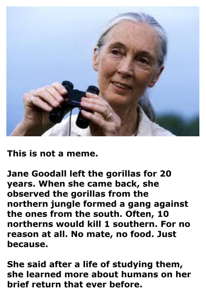 This is not a meme. - 9GAG