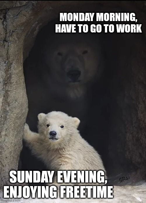 Weekends are too short - 9GAG