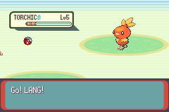 Best Funny golang Memes - 9GAG