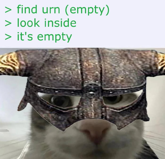 My day has been ruined - 9GAG