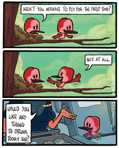 Best Funny fly Memes - 9GAG