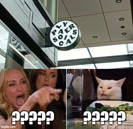 Best Funny table cat Memes - 9GAG