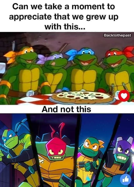 Funny Ninja Turtle Memes