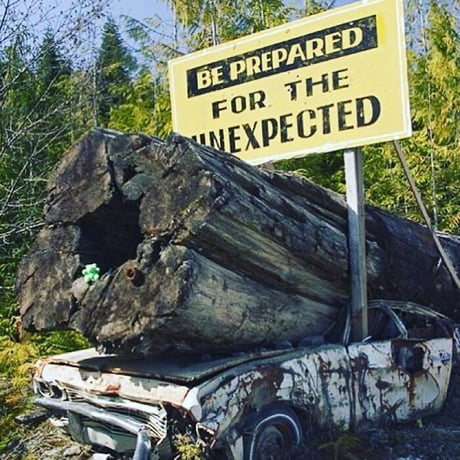 Best Funny tree Memes - 9GAG