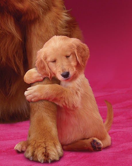 Best Funny hug Memes - 9GAG