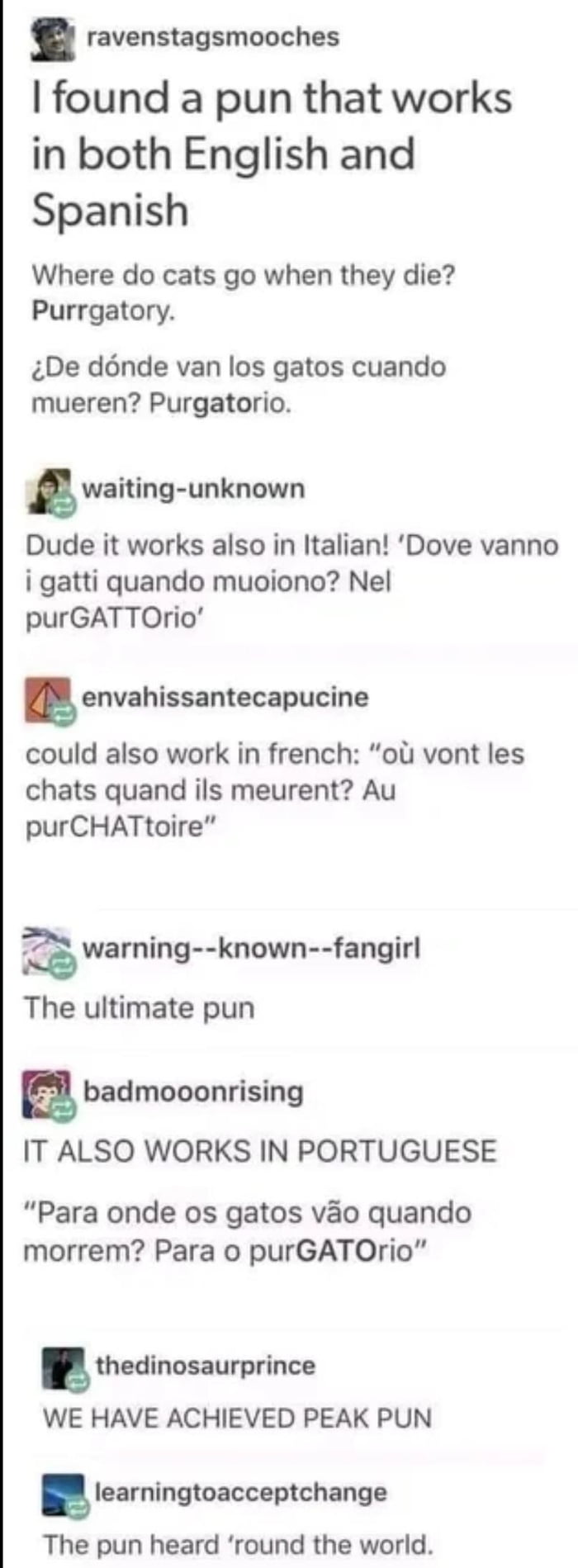 The infinite pun, the one in all places at once - 9GAG